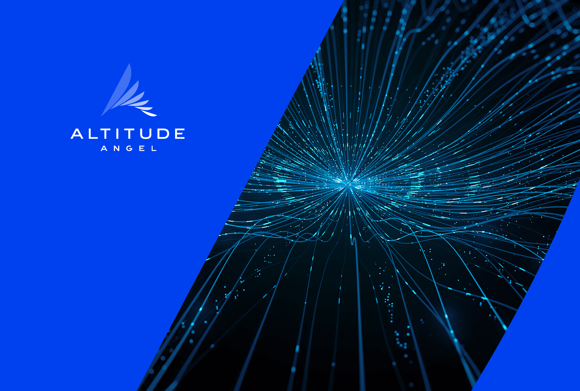 Common Information Service (CIS)